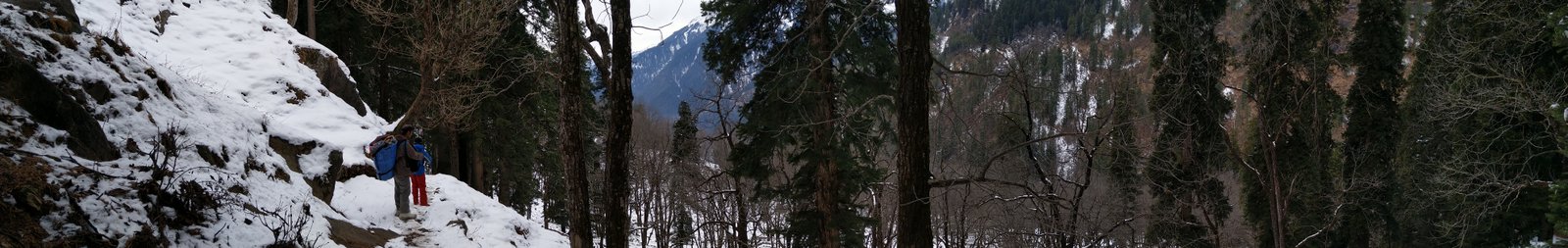 Keylinga's Manali Igloo Stay- The Only Guide You Need! - Light Travel ...